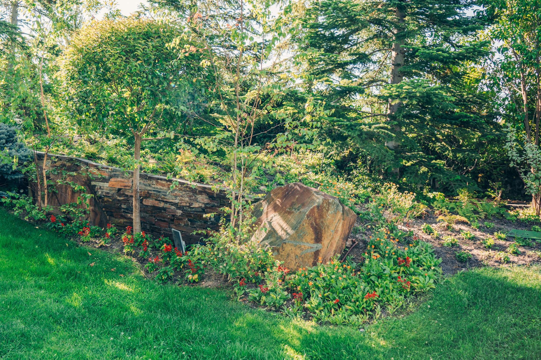 Cómo las plantas autóctonas ayudan a tener un jardín sostenible y de ...